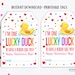 Editable Rubber Duck Valentine's Day Gift Tags Valentine Lucky Duck Tag ...