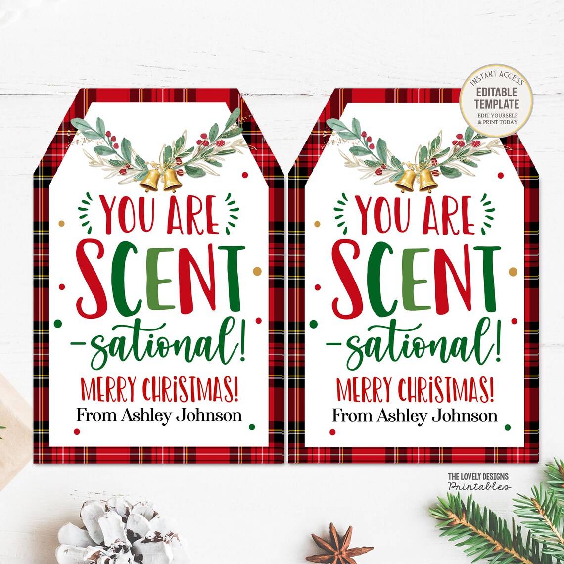 You Are Scent-sational Tag Christmas Gift Potpourri Candle Handmade ...