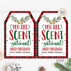 You Are Scent-sational Tag Christmas Gift Potpourri Candle Handmade ...