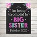Big Sister Pregnancy Announcement, Promoted to Big Sister Sign ...
