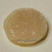 Authentic Honey JUN SCOBY W/starter Fermenting Instructions Champagne ...