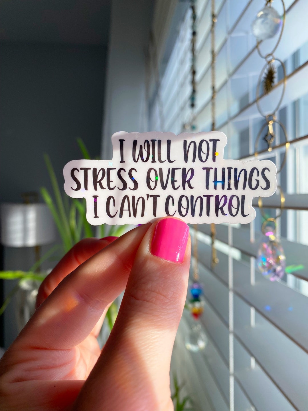 I Will Not Stress Over Things I Can’t Control Sticker / Positive ...