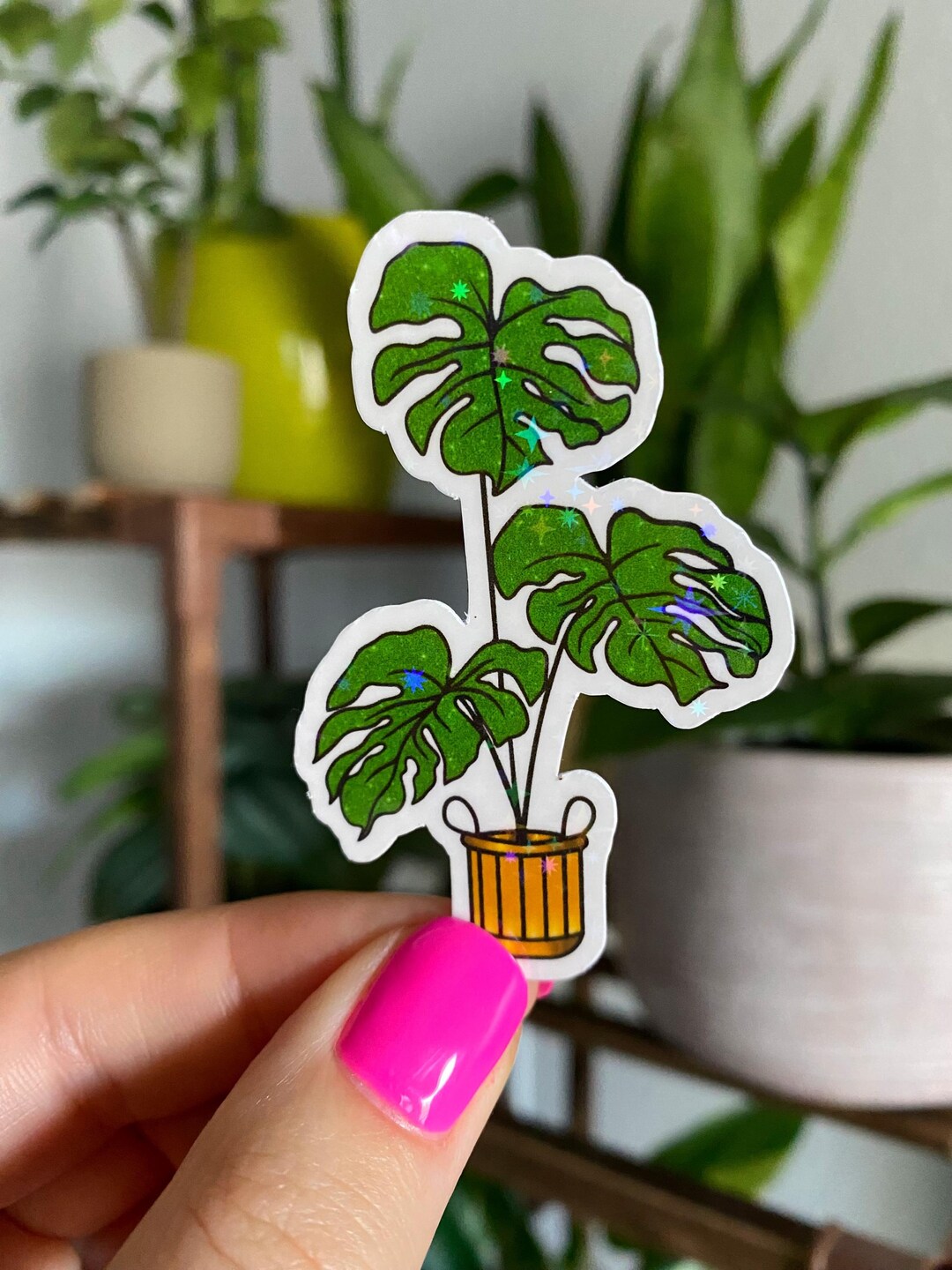 Monstera Plant Sticker / Potted Plant Sticker / Cute Plant Stickers ...