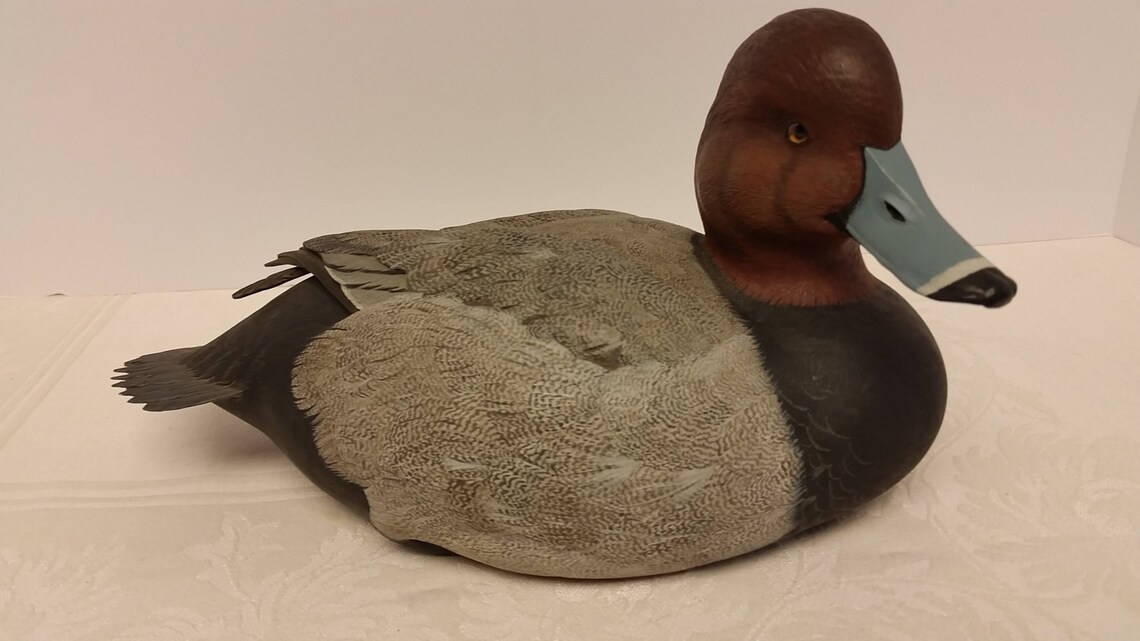 Drake Redhead, Ribbon Winner - Etsy