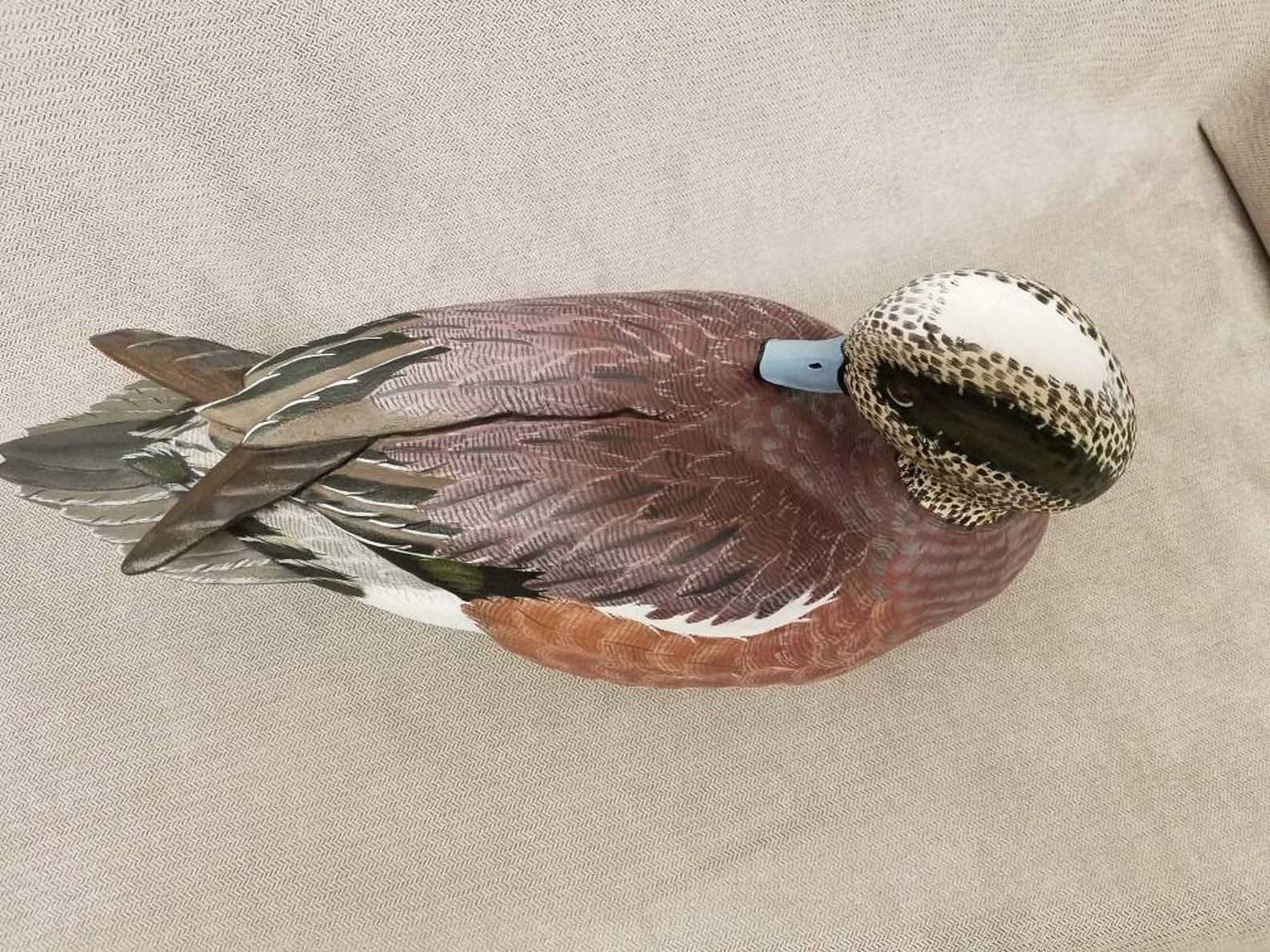 Wigeon, Preening - Etsy