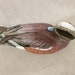 Wigeon, Preening - Etsy