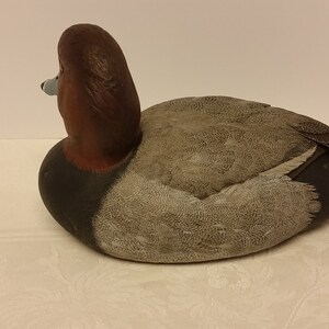 Drake Redhead, Ribbon Winner - Etsy