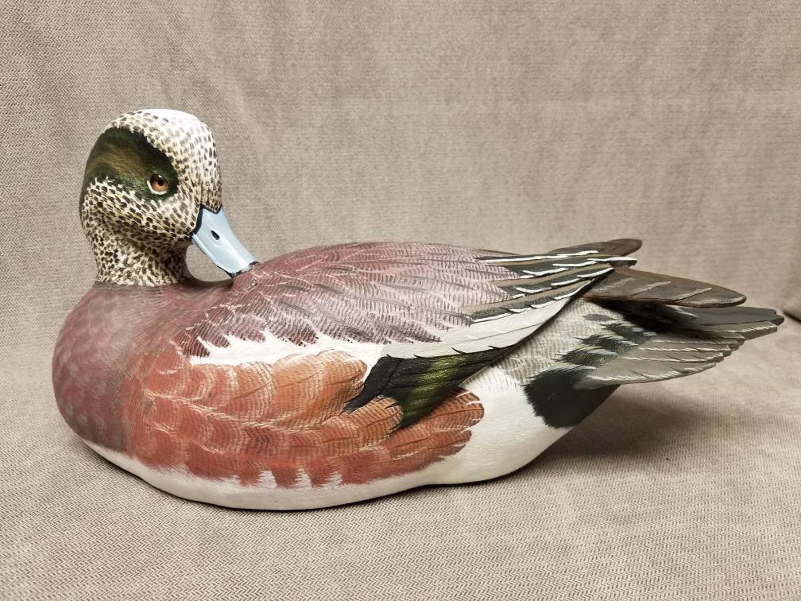 Wigeon, Preening - Etsy