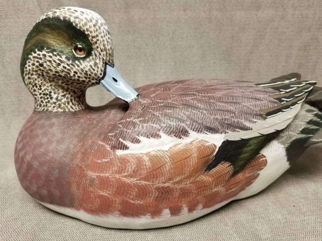 Wigeon, Preening - Etsy