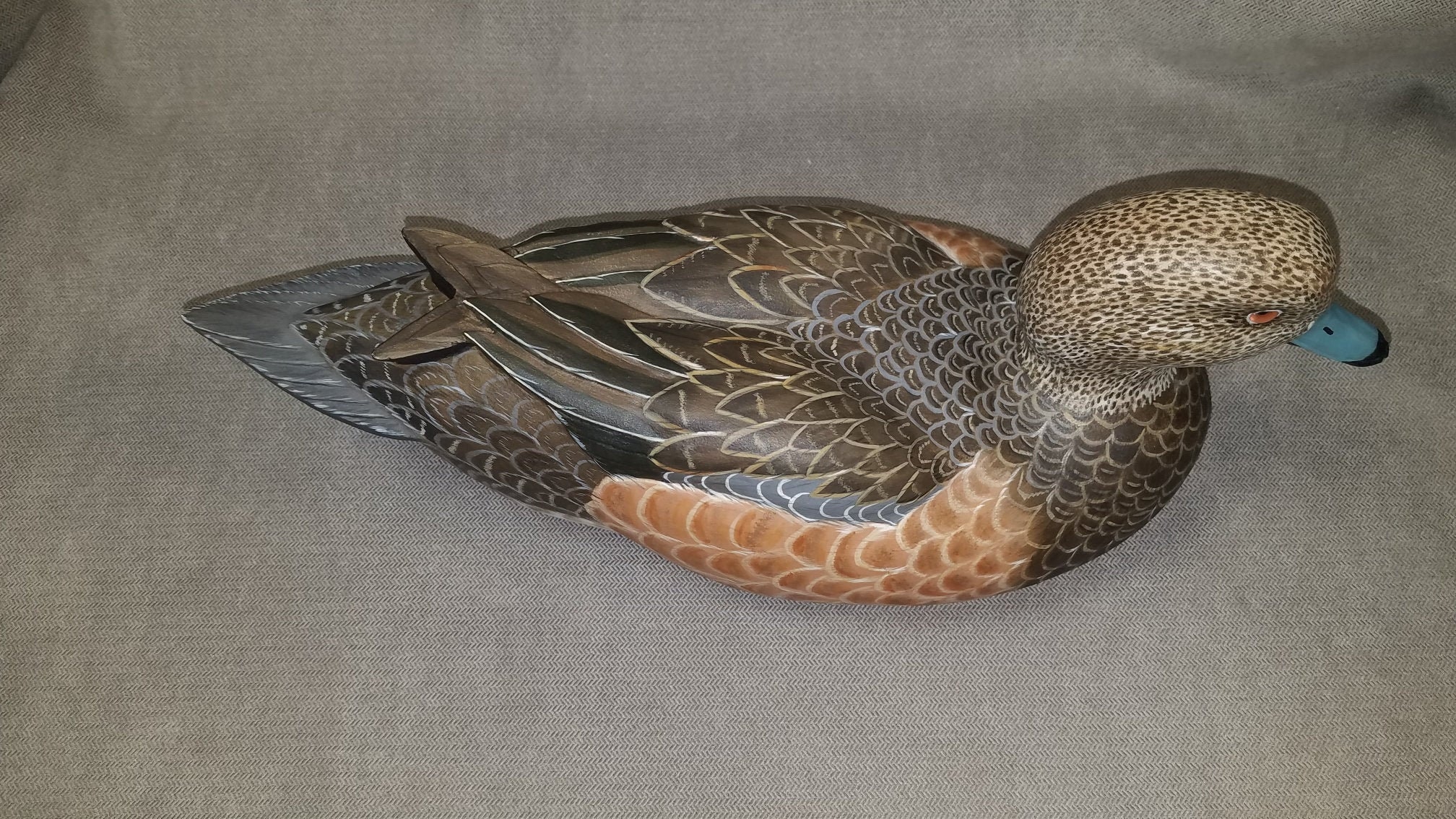 Hen Widgeon Mount