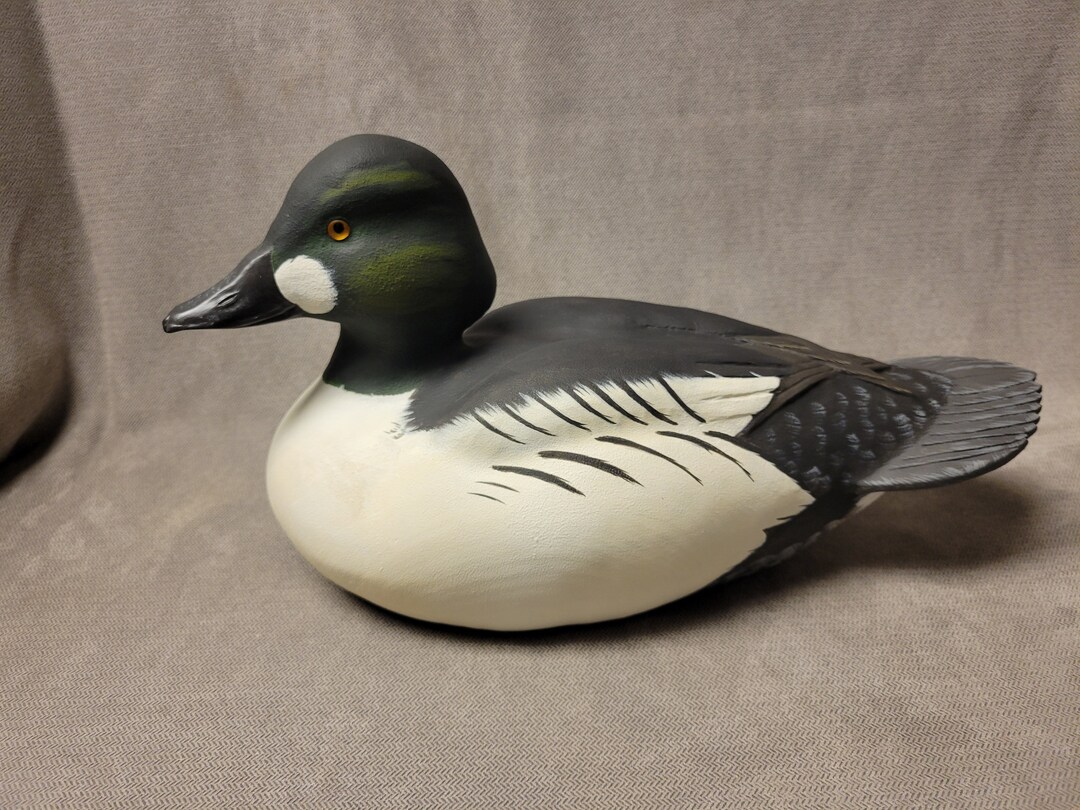 Golden Eye Drake - Etsy