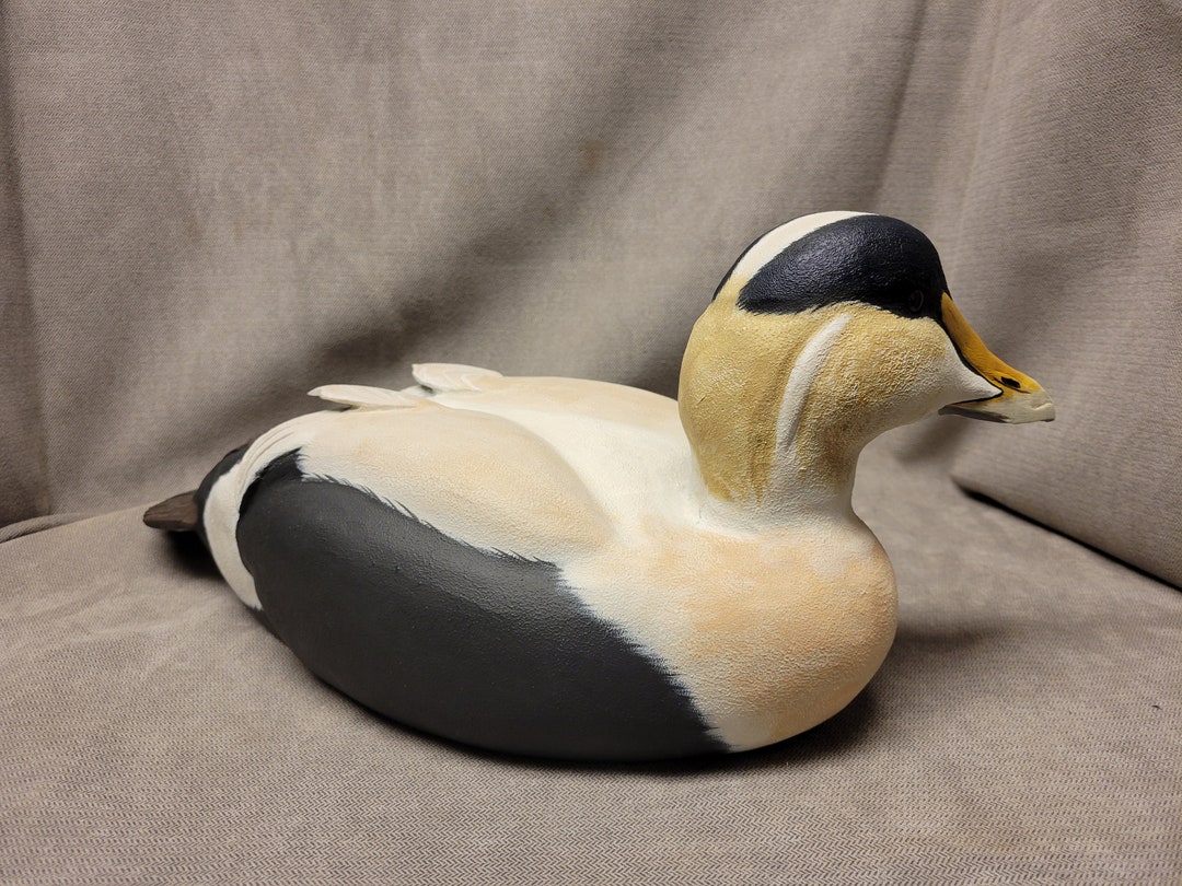 Common Eider Drake - Etsy