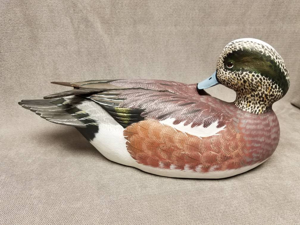 Wigeon, Preening - Etsy