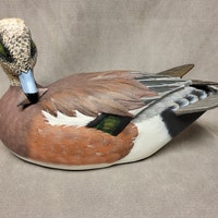 Wigeon, Preening - Etsy