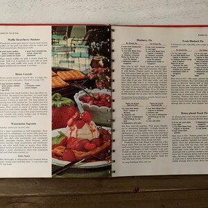 Betty Crocker's New Outdoor Cookbook 1967 First Edition First Printing ...