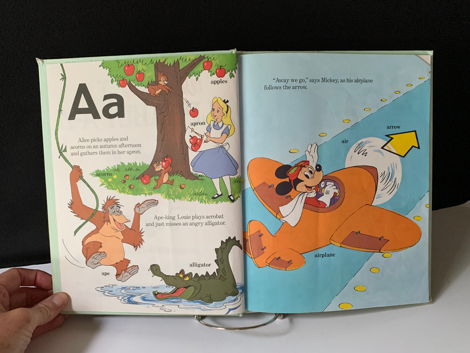 1983 WALT DISNEY Volume 1 ALPHABET A-Z Fun-to-learn Library | Etsy