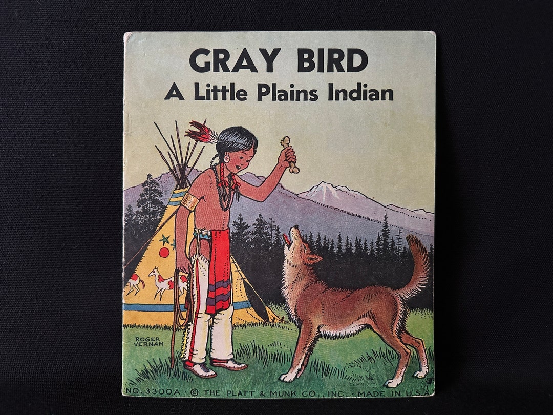 Vintage 1935 “gray Bird-a Little Plains Indian” Softcover Children’s No ...