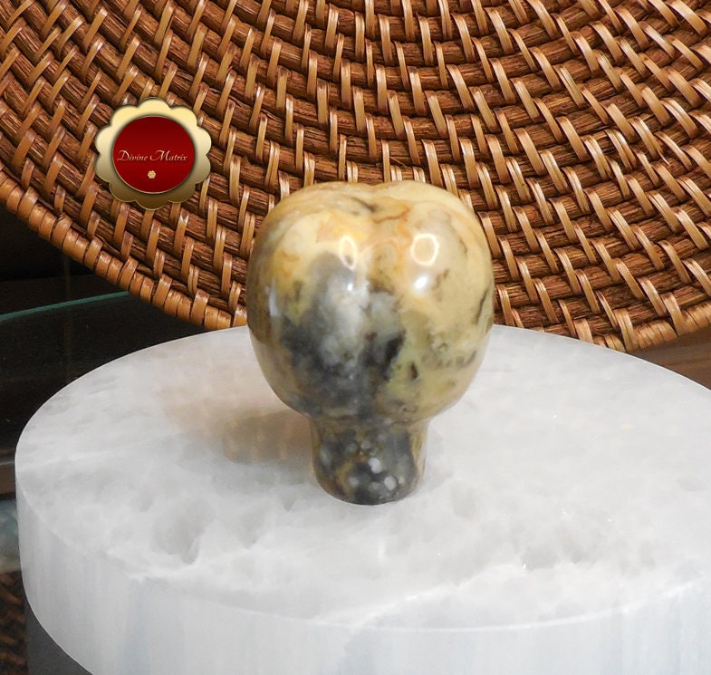 Crazy Lace Agate Alien Skull Carved Crazy Lace Agate Alien - Etsy UK