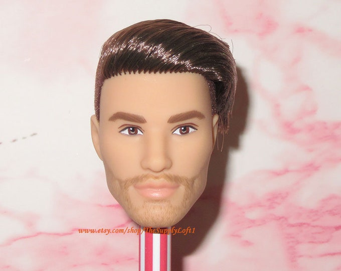 Custom Mtm Anatomisch Korrekt Barbie Looks Ken Puppe – IAHPB