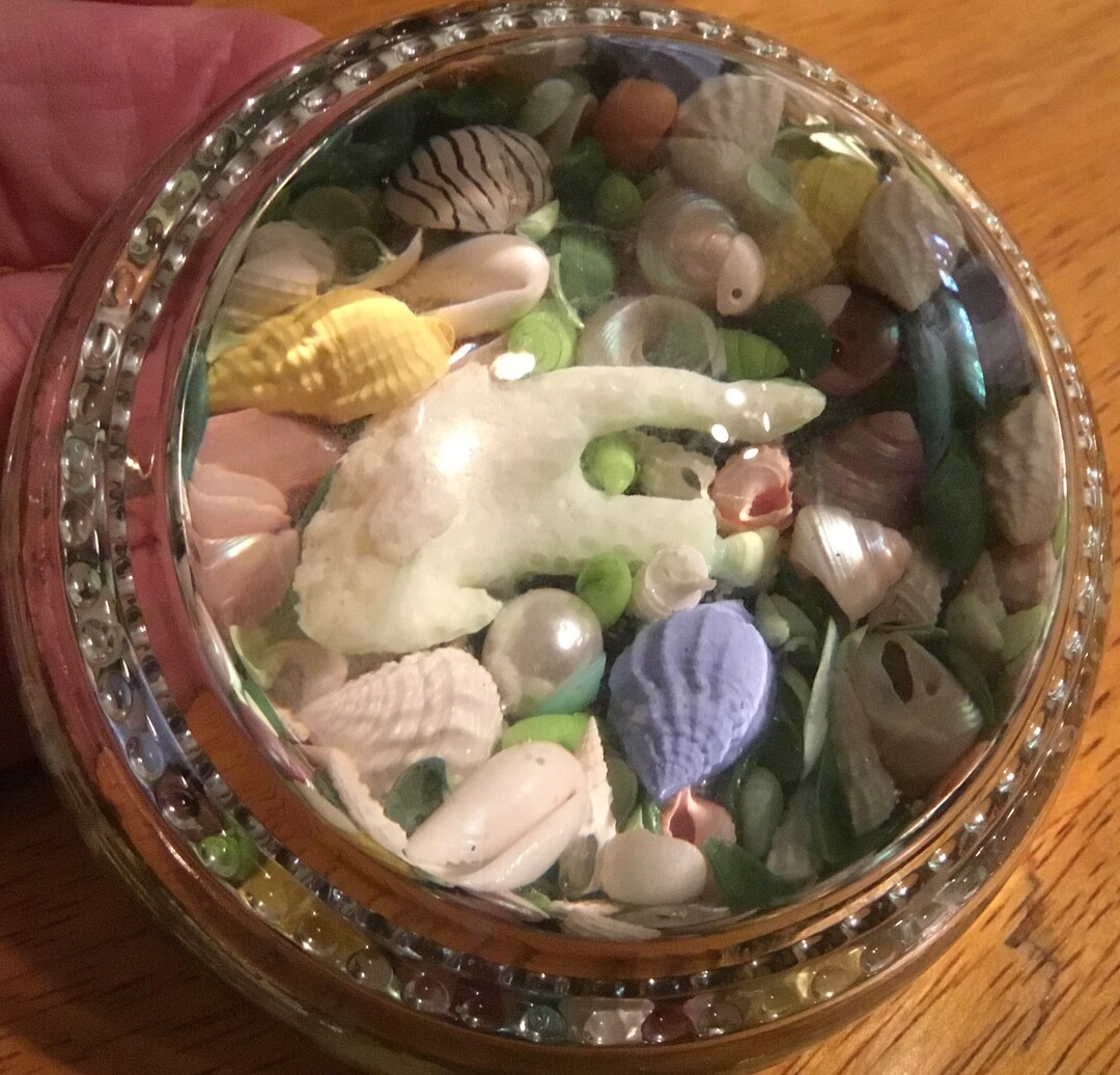 1960s Glass Paperweight Dome Style With Shells Office Home Decoration ...