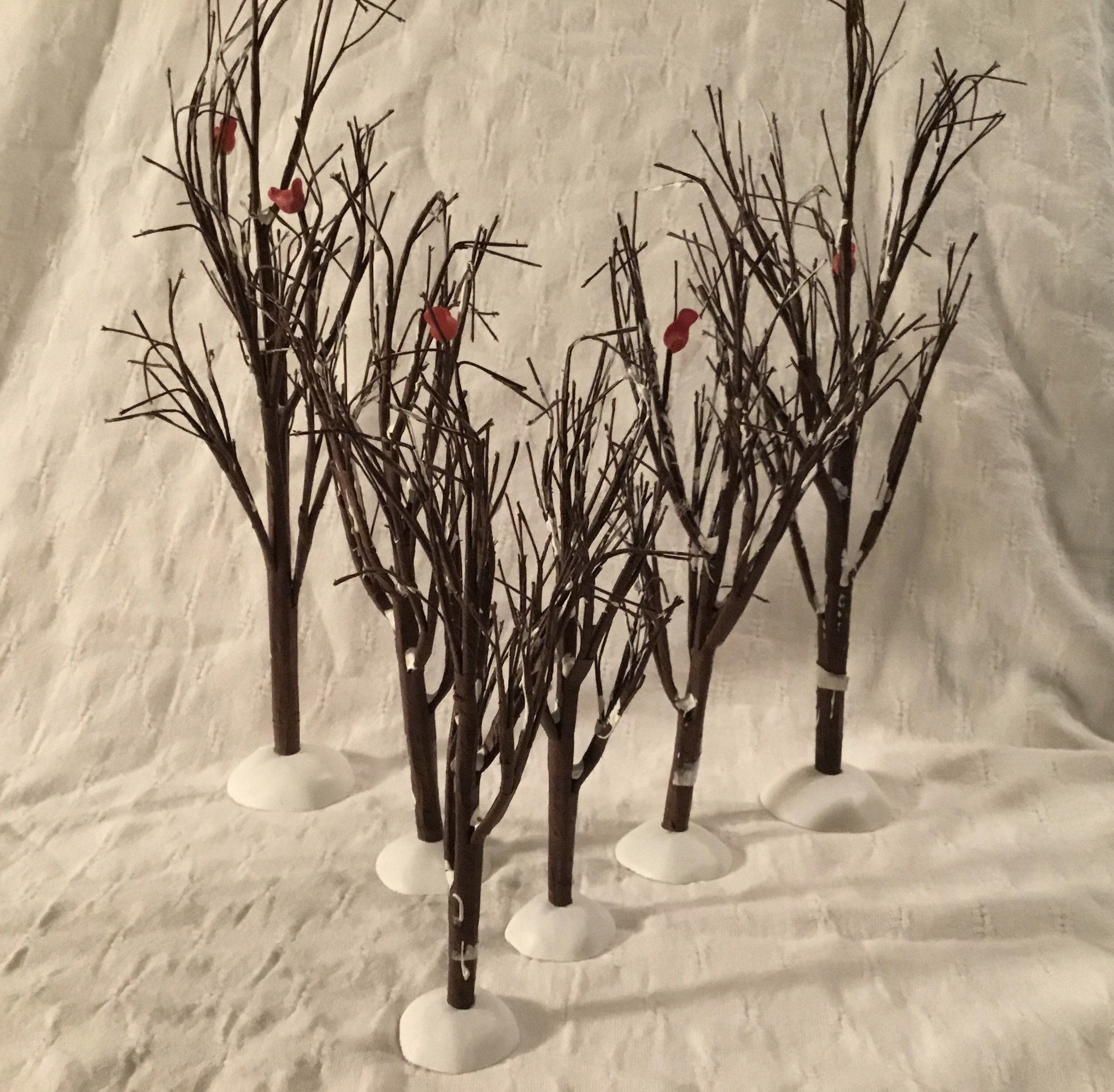 Lit Bare Branch Trees