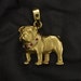 14K Gold Bulldog With Diamond and Ruby Stone Collar - Etsy