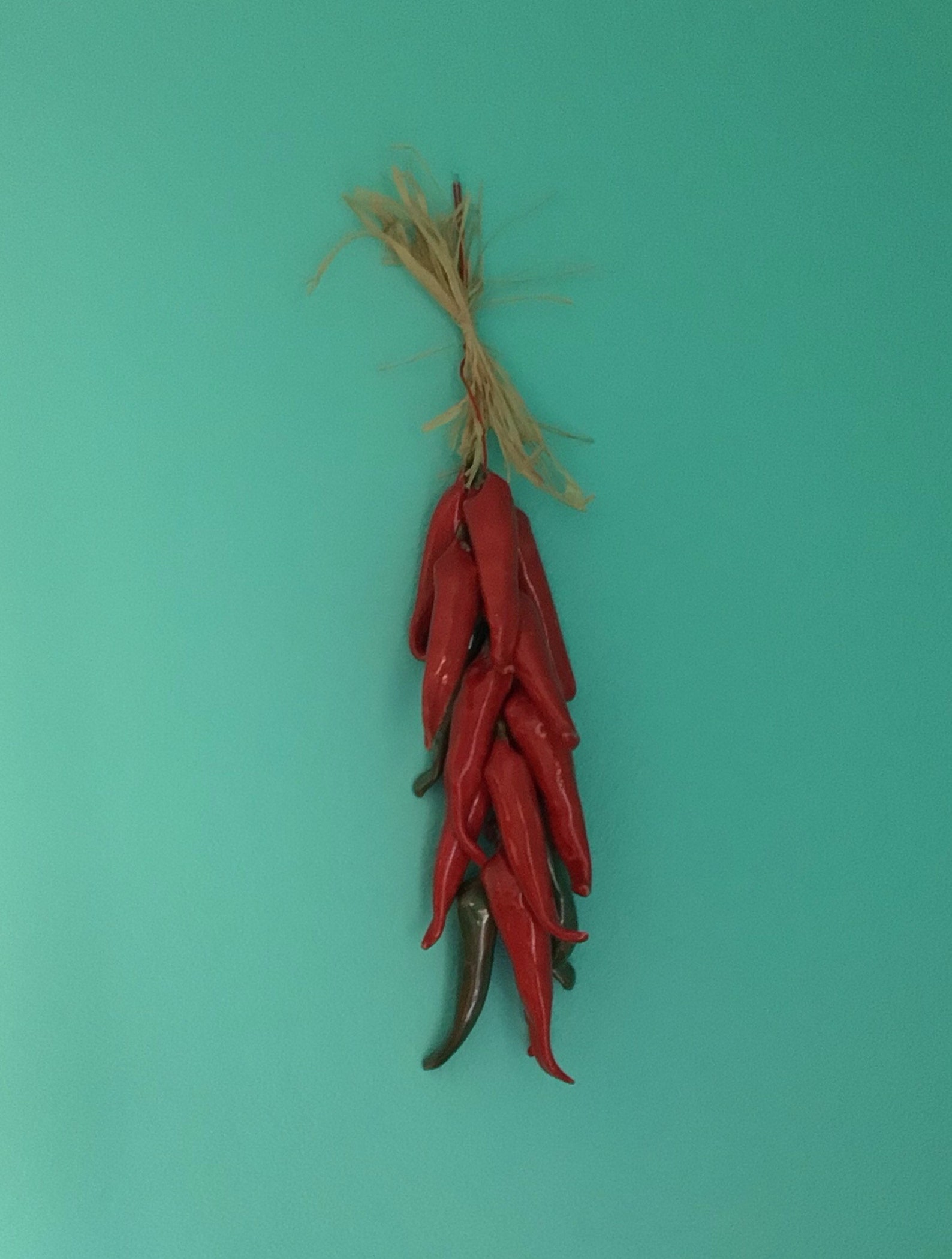 Red Chili Ristra New Mexico Christmas Hanging Chilies - Etsy