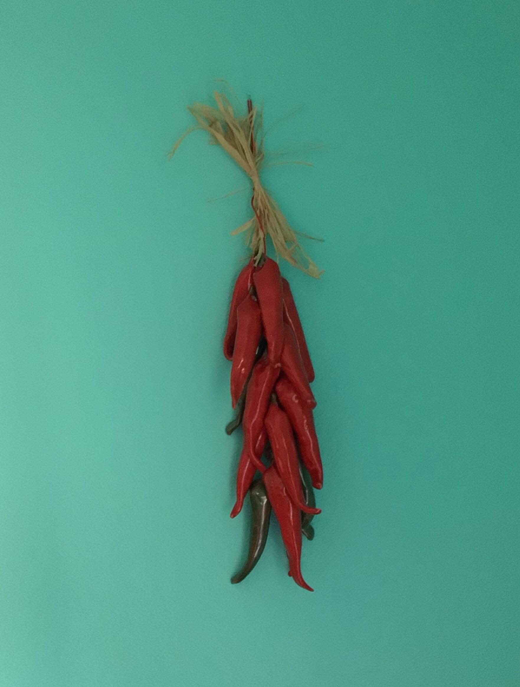 Red Chili Ristra New Mexico Christmas Hanging Chilies - Etsy
