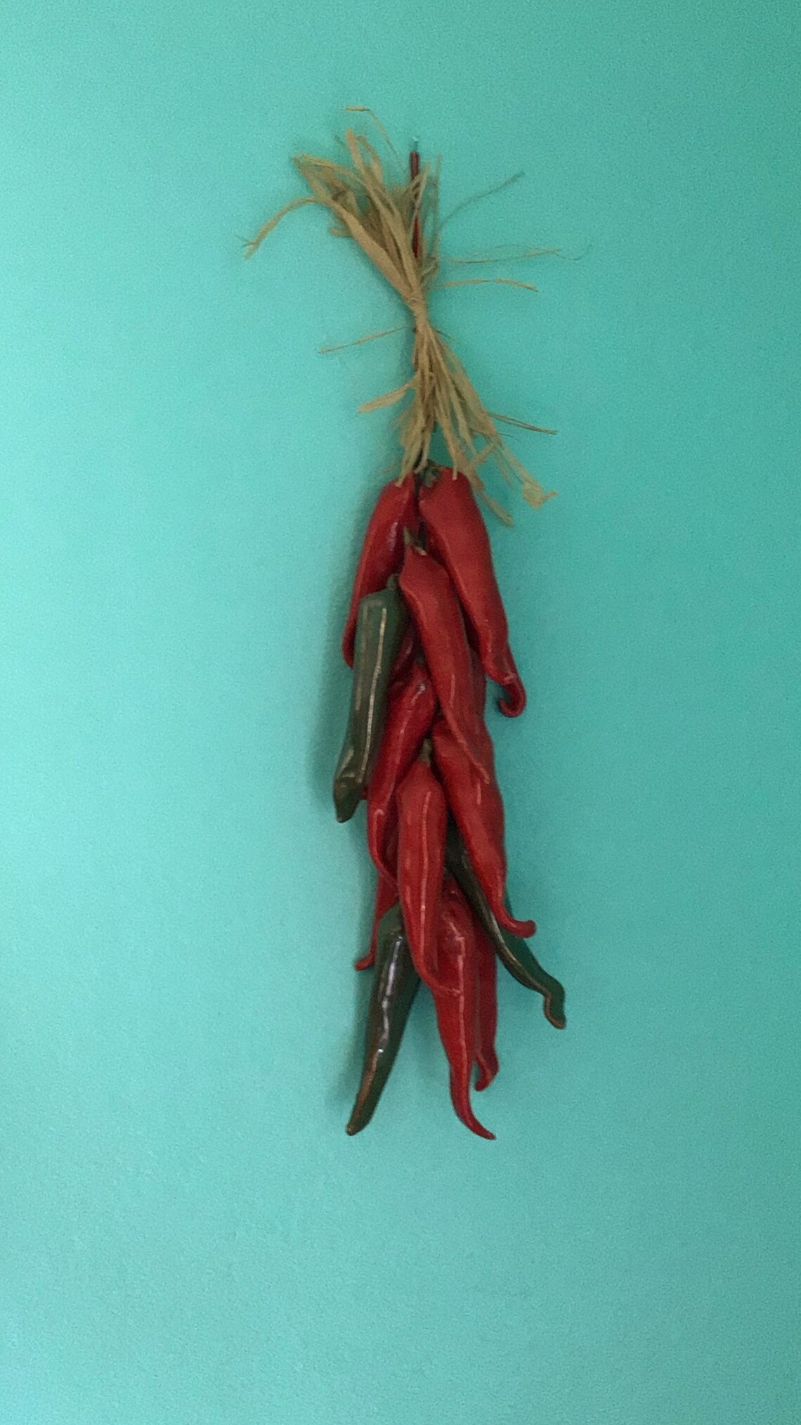 Red Chili Ristra New Mexico Christmas Hanging Chilies - Etsy