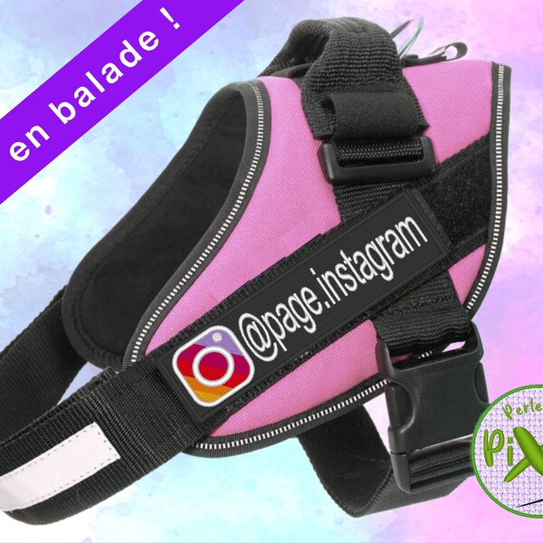 Gucci Cat Patch - Etsy UK