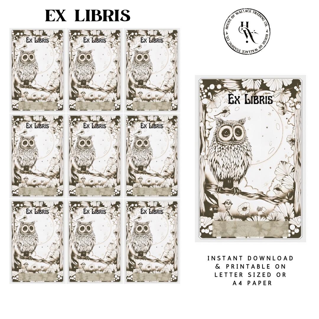 Retro Drawing Owl and the Moon Bookplates - Digital Download ...