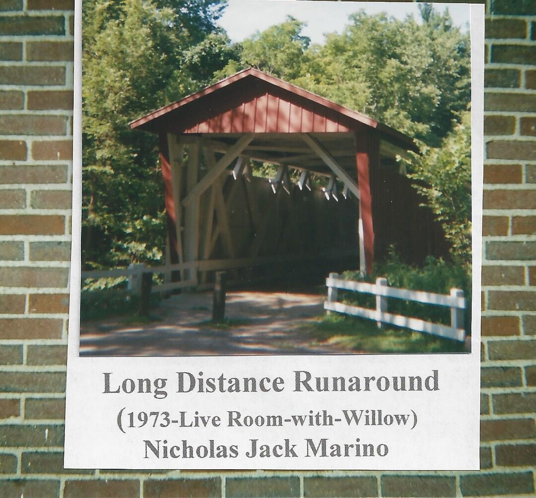 1973 "willow" {album Cover} - Etsy