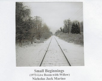 Willow Album Cover - Etsy