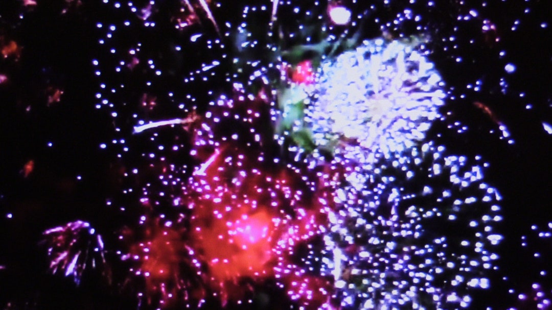 Happy New Year-2023 "the Year of the Horned Frogs" ?? - Etsy