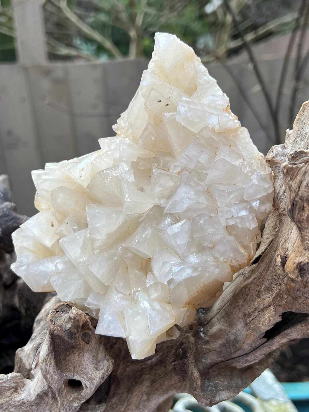 Calcite Clear Cluster Rare Large Creamy Yellow Pointed AM85 1037g - Etsy