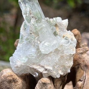 Chlorite Himalayan Lodolite Garden Quartz Green Quartz Cluster AAA ...