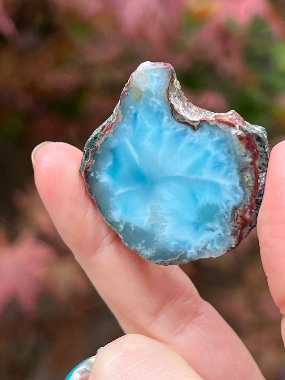 Large Larimar Circular Slice Slab Dolphin Stone AAA : Deepest Blue A4 ...