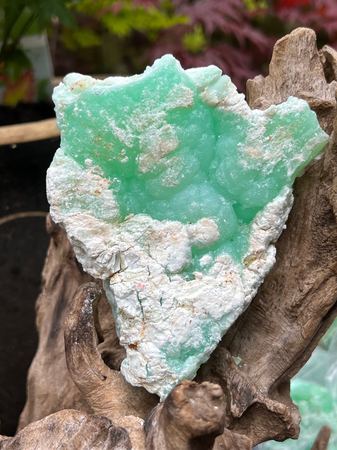 Rough Chrysoprase Australian : Divine / Forgiveness / Compassion AAA ...