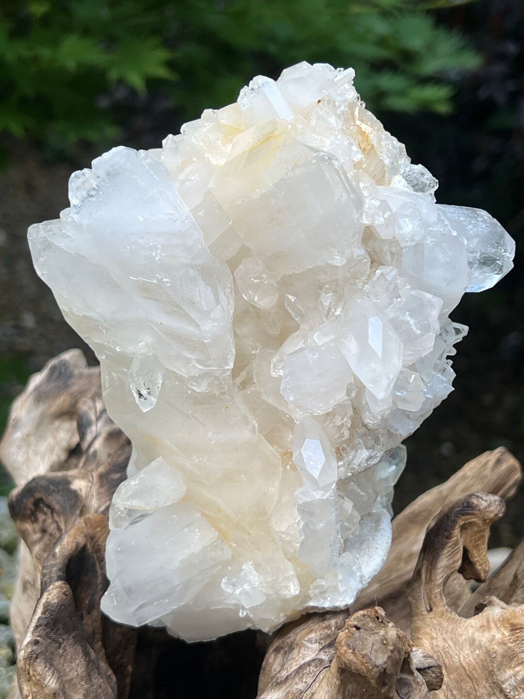 Faden Clear Quartz Himalayan Cluster Bed : Master Healer 1128g 1a - Etsy