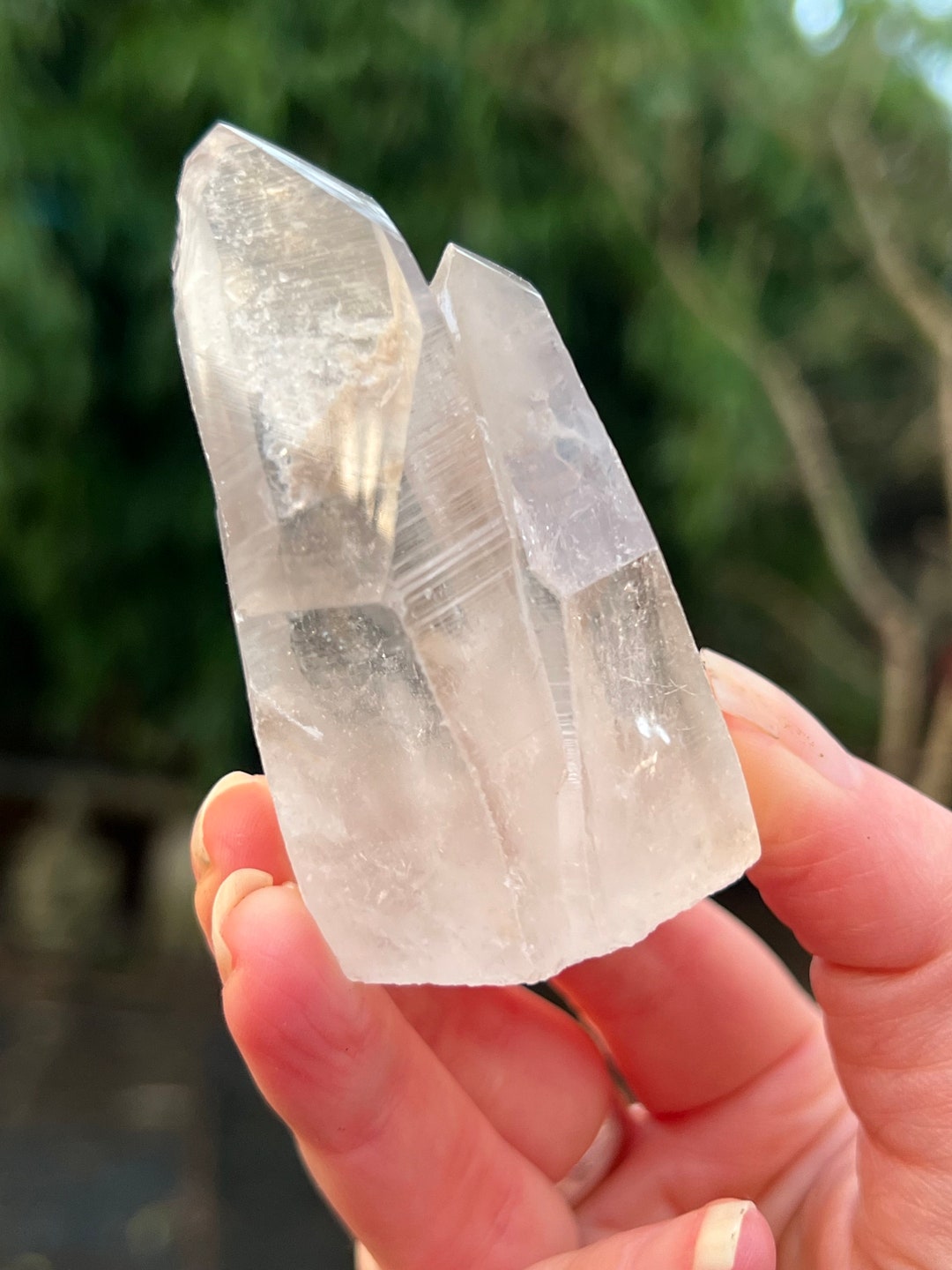 Large Citrine Companion Lemurian Seed Clear Quartz Crystal AAA+ Grade ...