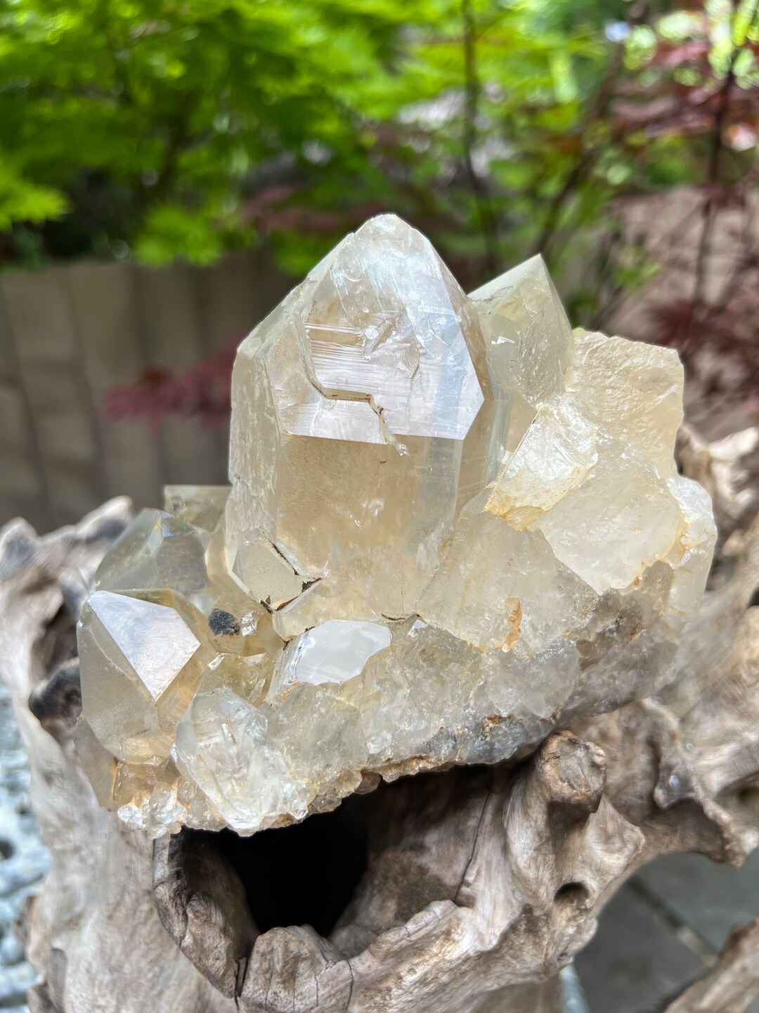 Clear Quartz Himalayan Cluster Bed With Large Record Keeper and Clarity ...