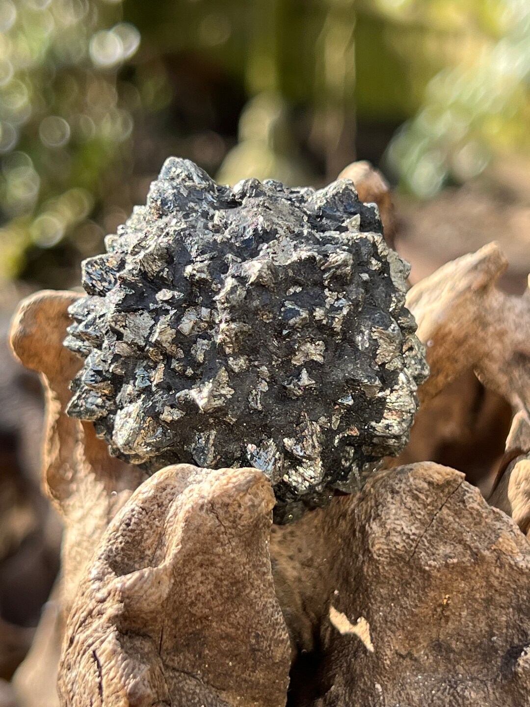 Super Nova Pyrite Specimen Crystal AAA Abundance / Manifestating / Luck ...
