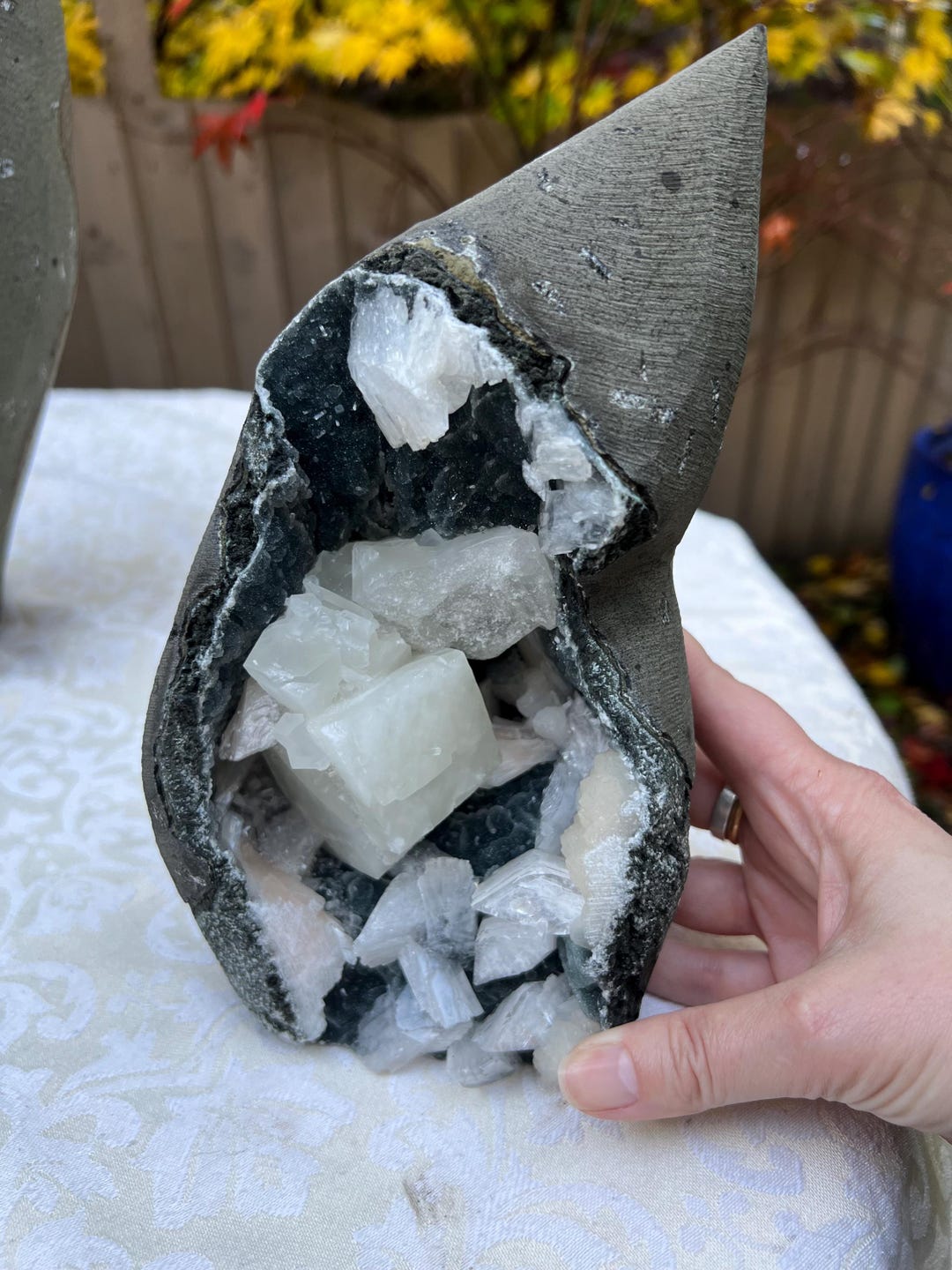 Apophyllite Crystals Geode Witches Hat / Dwarf Shape Large Open Druzy ...