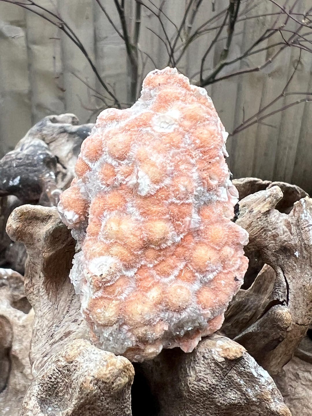 Thomsonite Crystal Cluster Rare Natural Large 74g 29 - Etsy