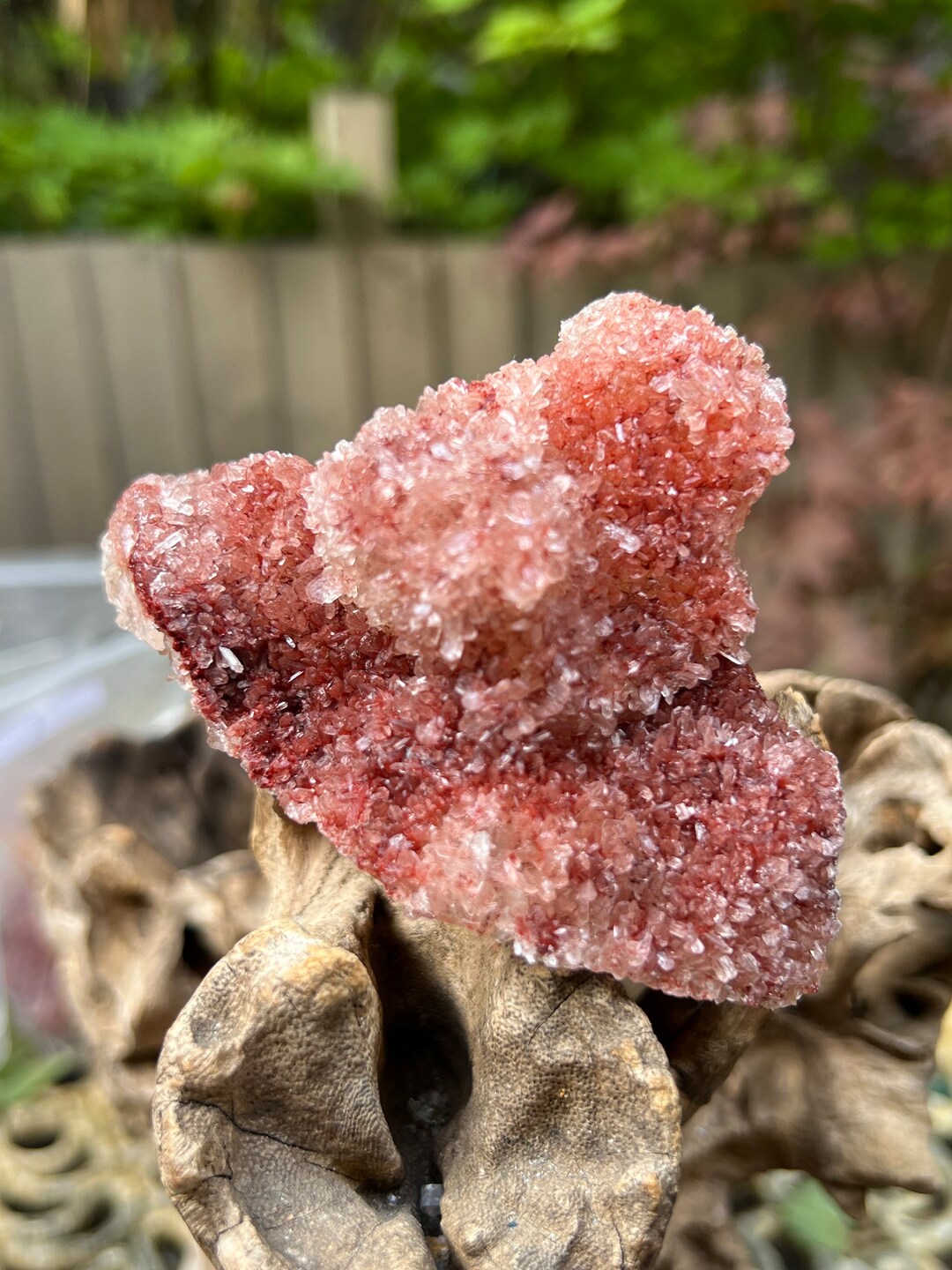 Sugared Red Stillbite Stilbite Cluster AAA+ 189g 8 - Etsy