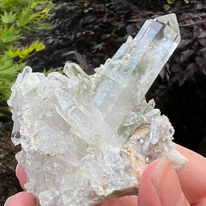Chlorite Himalayan Lodolite Garden Quartz Green Quartz Cluster AAA ...