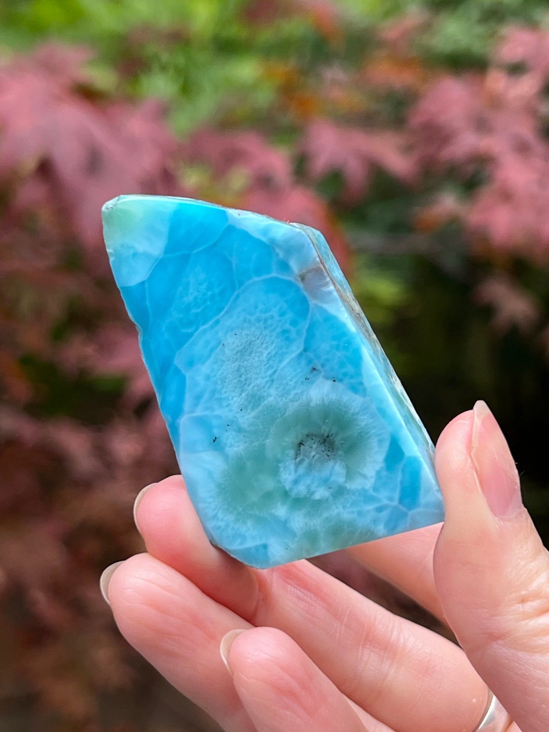Large Larimar Slice Slab Dolphin Stone AAA : Deepest Blue A5 36g - Etsy