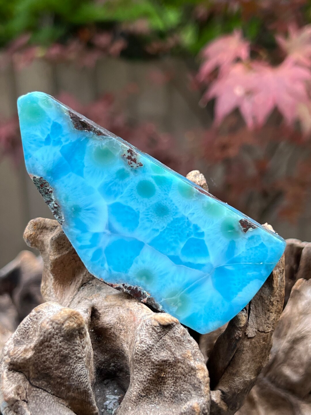 Large Larimar Slice Slab Dolphin Stone AAA : Deepest Blue A4 74g - Etsy