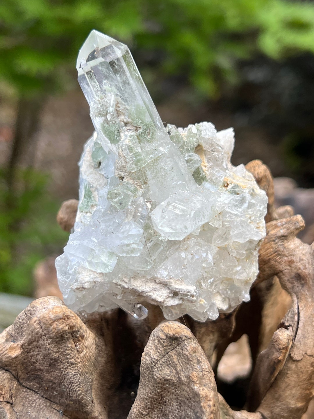 Chlorite Himalayan Lodolite Garden Quartz Green Quartz Cluster AAA ...