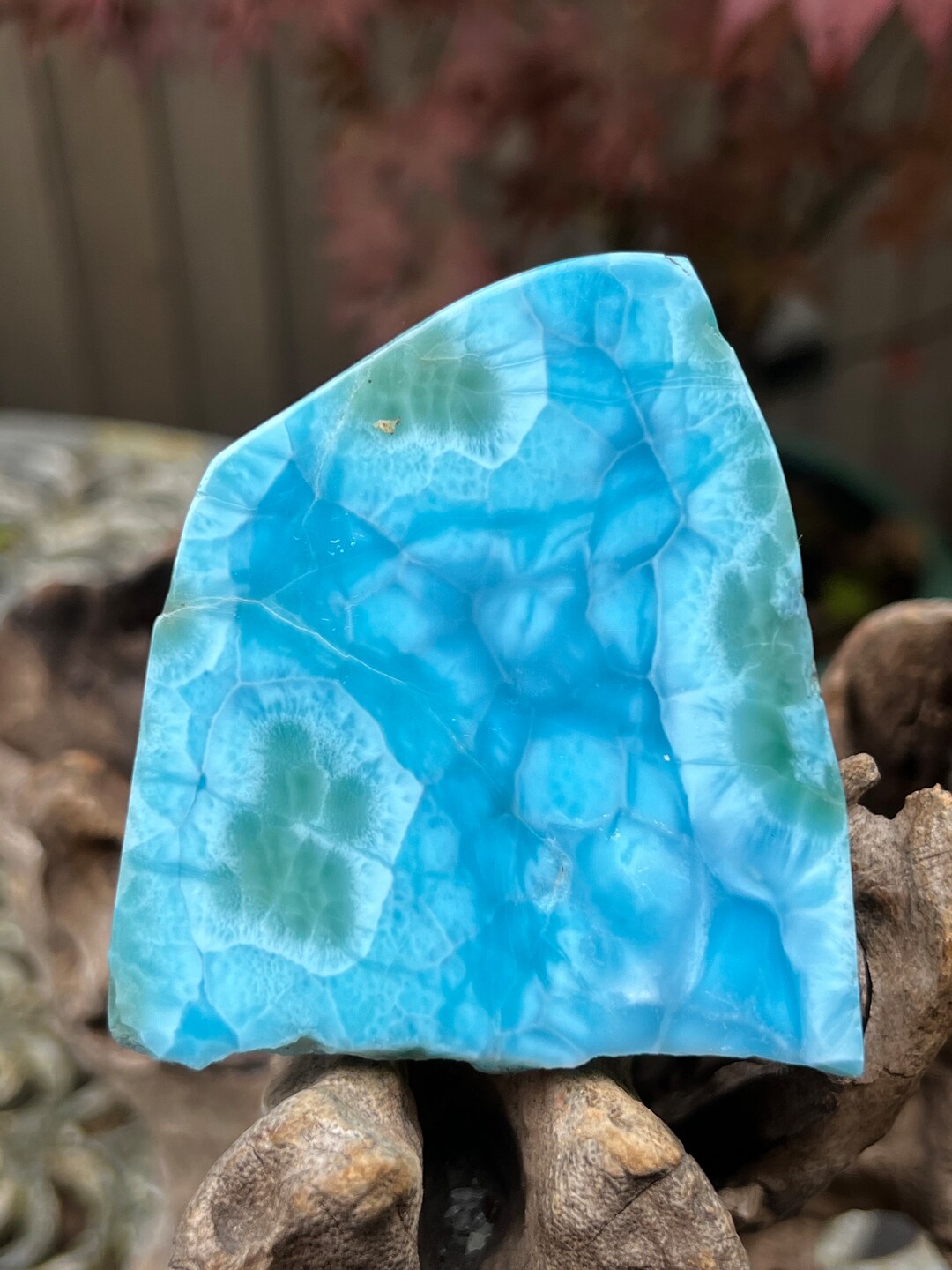 Large Larimar Slice Slab Dolphin Stone AAA : Deepest Blue A12 143g - Etsy